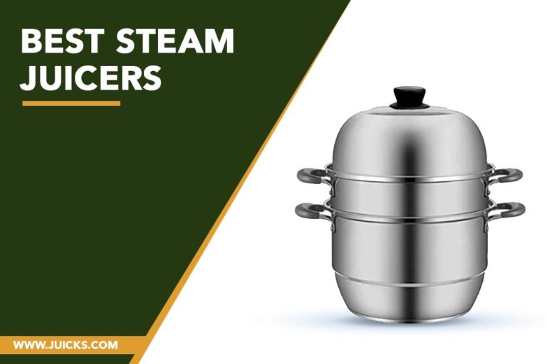 6 Picks for the Best Steam Juicers in 2023 | JUICKS